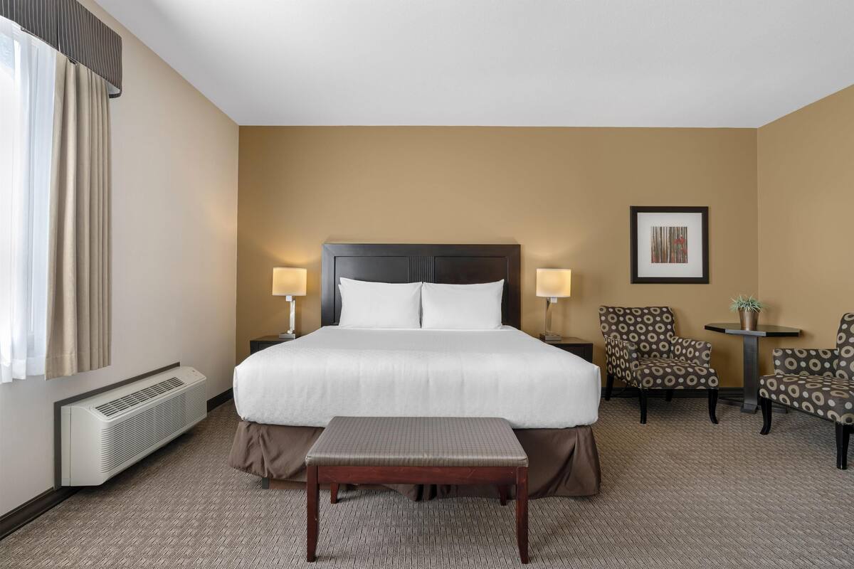 Quarto de hotel com uma cama grande, duas mesas de cabeceira com abajures, uma pequena mesa com uma planta, cadeiras estampadas e um banco.