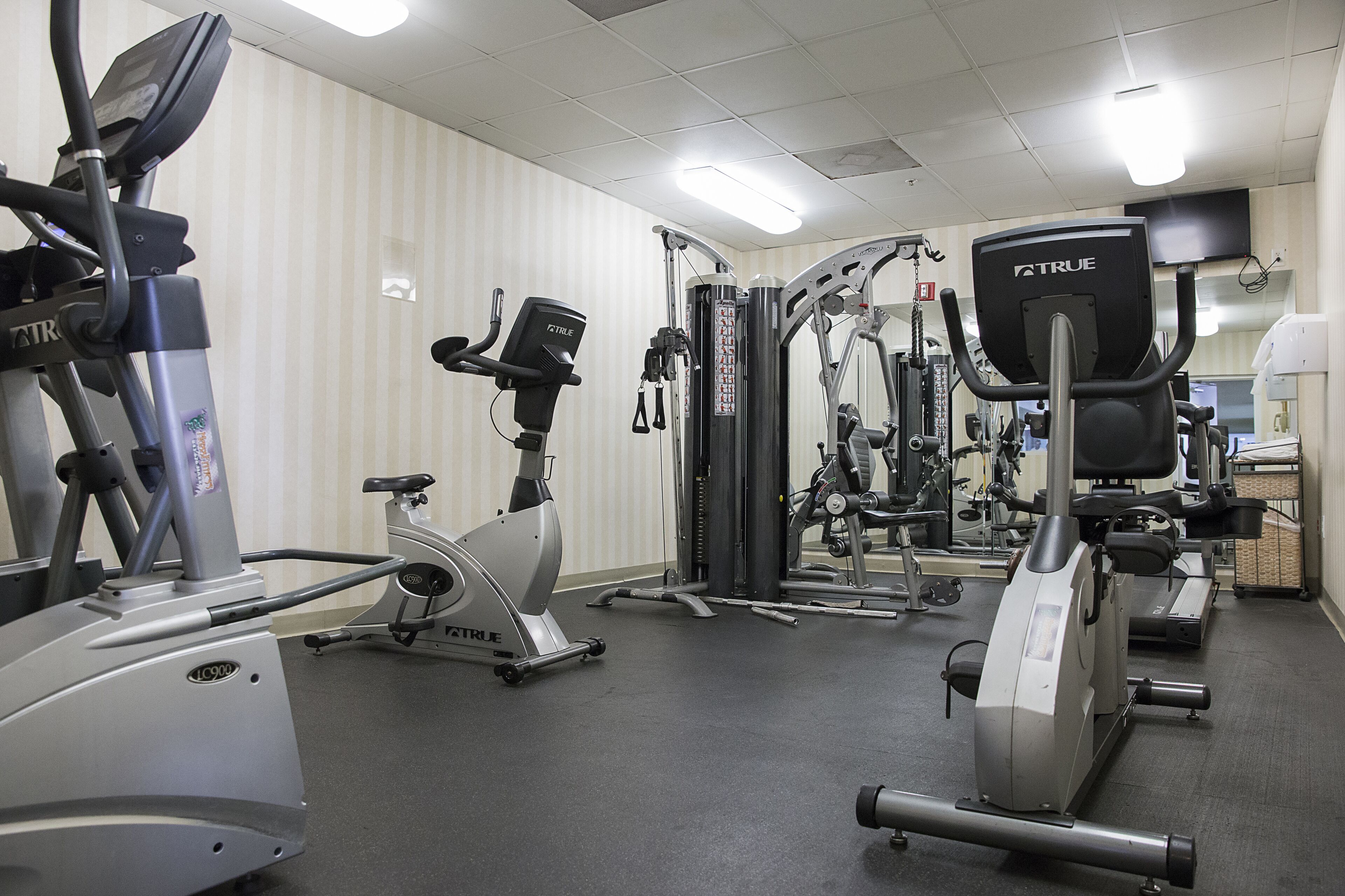 Uma academia com diversos equipamentos de exercícios, incluindo esteiras, bicicletas ergométricas e aparelhos de musculação.
