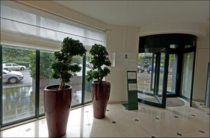 Um hall com duas grandes plantas em vasos, uma entrada com porta de vidro e vista para carros estacionados lá fora.