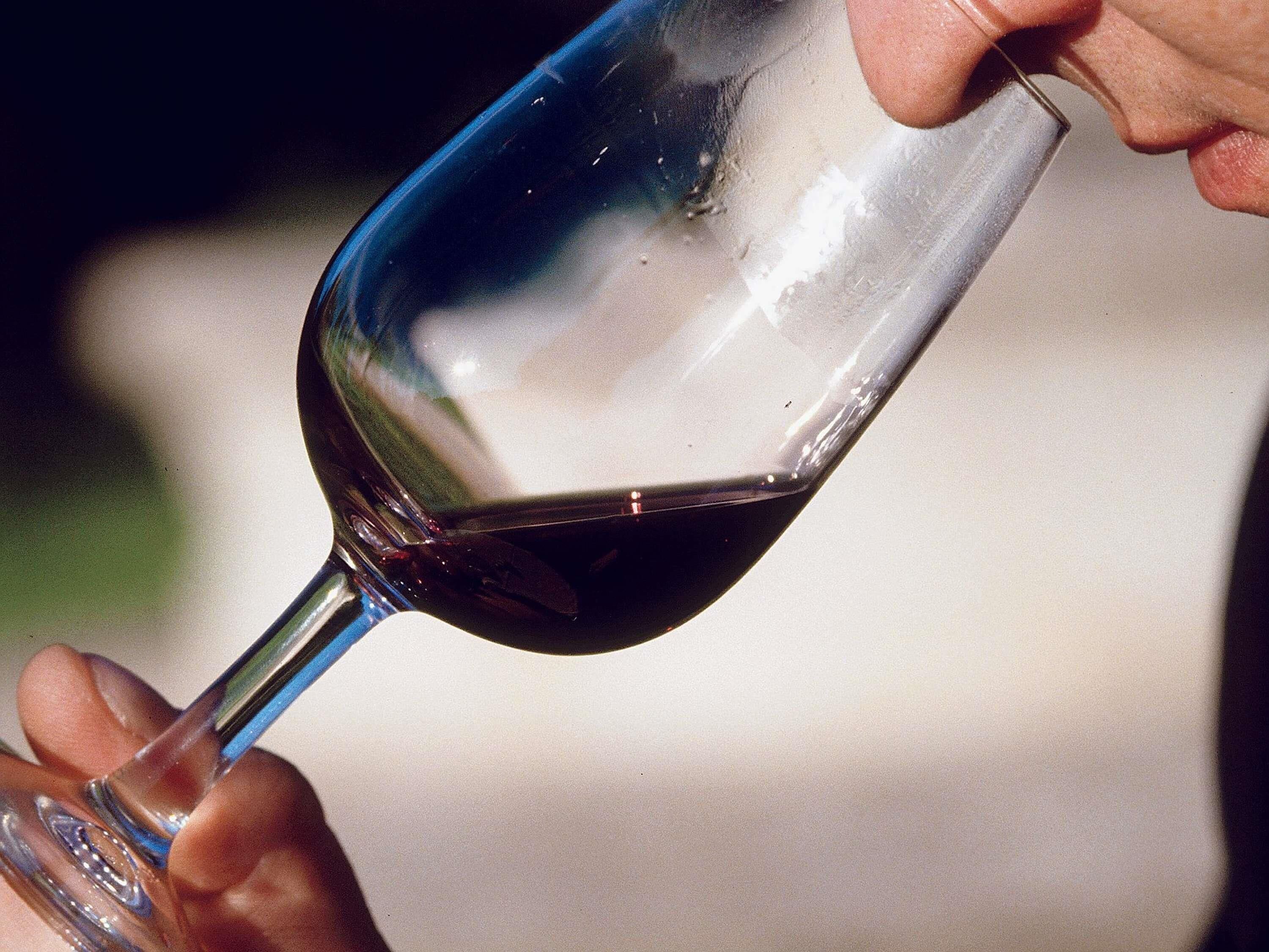 Uma mão segurando uma taça de vinho com líquido escuro, provavelmente vinho, contra um fundo desfocado.