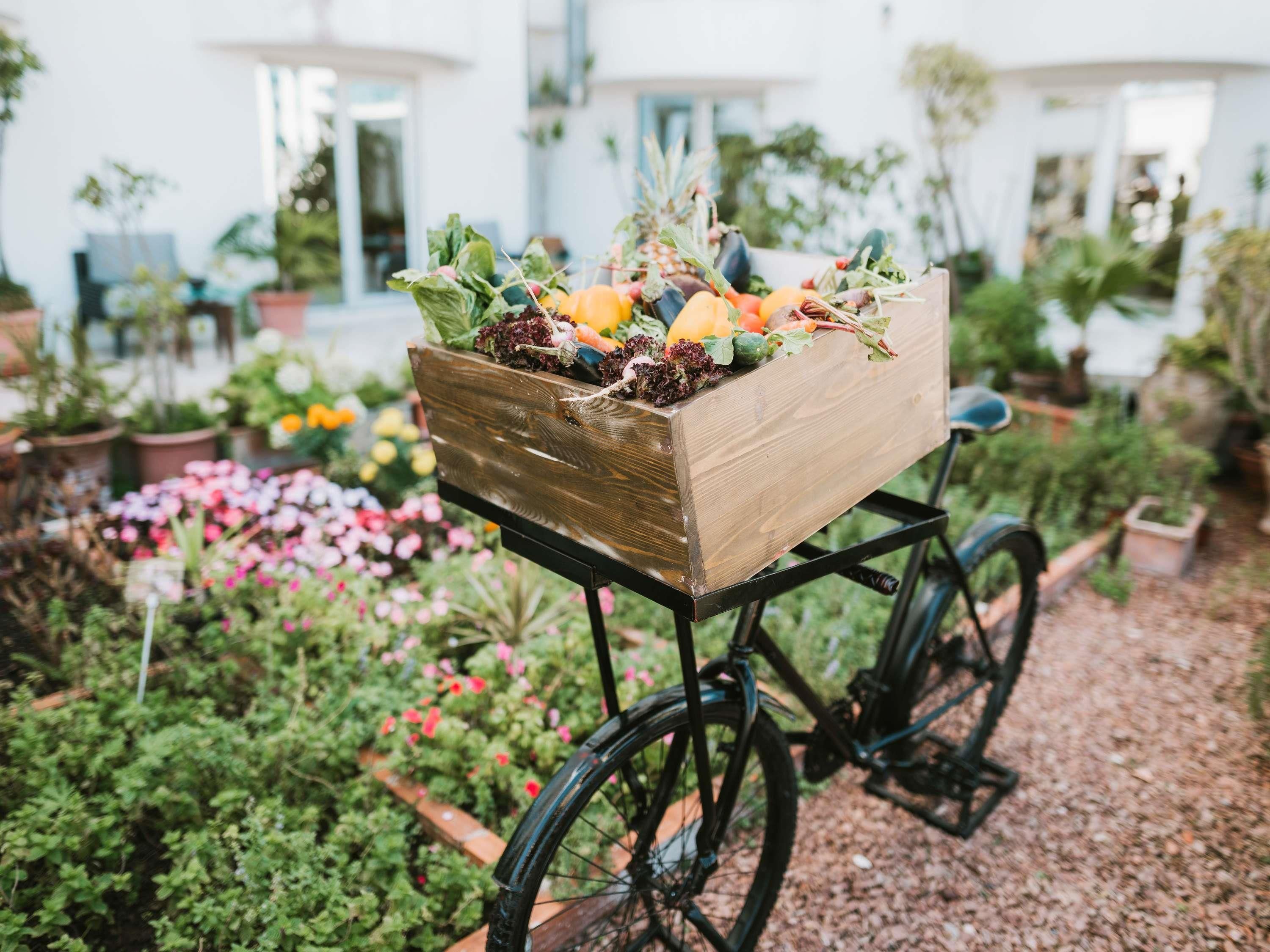 Um carrinho de madeira com diversas plantas e frutas.