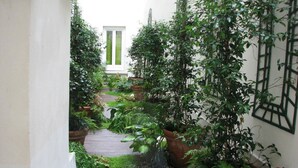 Uma trilha estreita ladeada por vegetação exuberante e vasos de plantas, que leva a um edifício branco com uma porta verde.