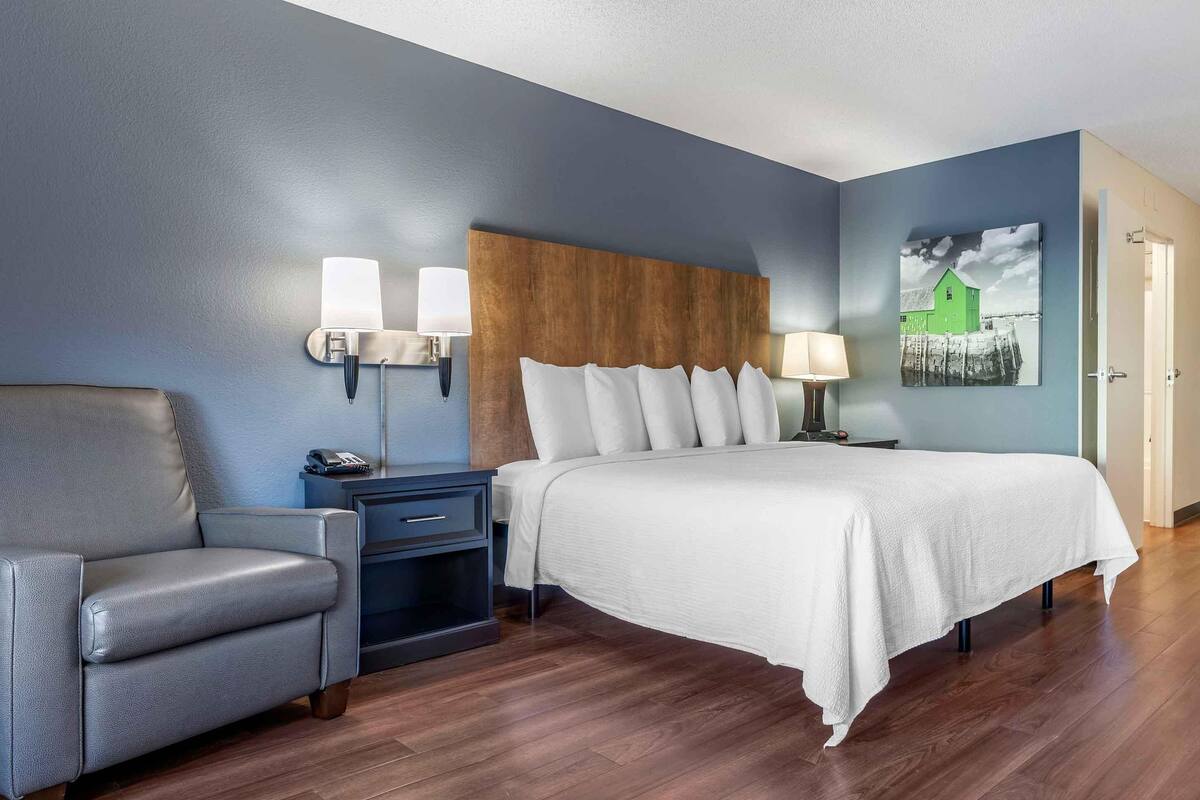 Estúdio, 1 cama king-size, não fumadores | Roupa de alta qualidade, secretária, ferro/tábua de engomar