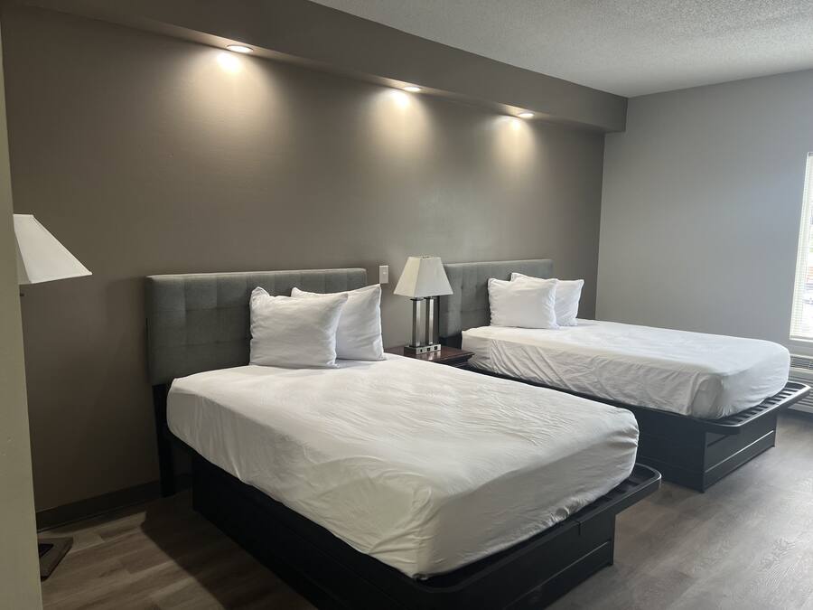 Quarto Standard, 2 camas de casal, acessível, não fumadores | Secretária, ferro/tábua de engomar, Wi-fi grátis