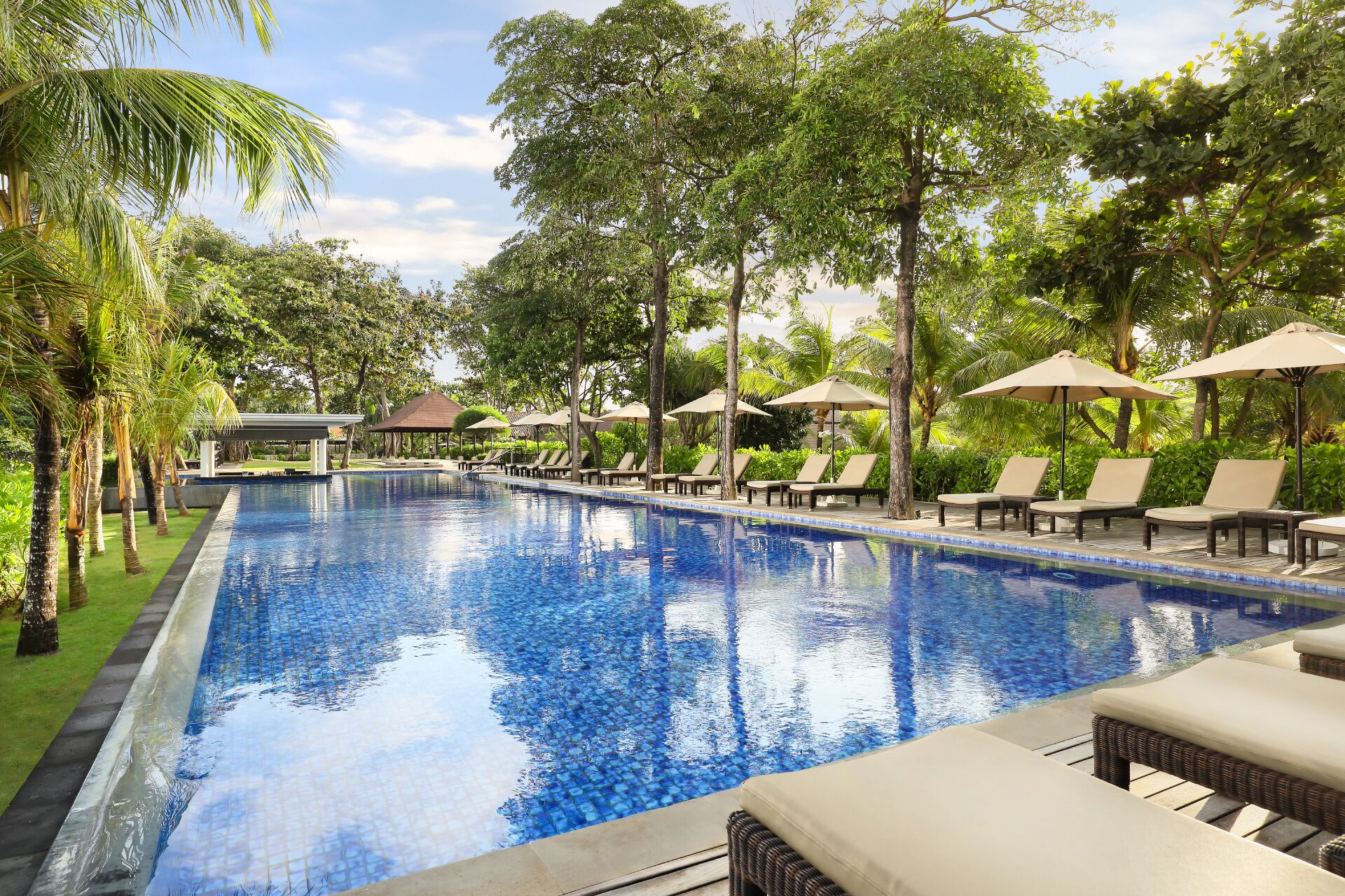 Piscina com espreguiçadeiras e guarda-sóis, cercada por árvores e vegetação.