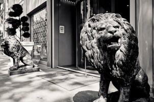 Entrada da propriedade