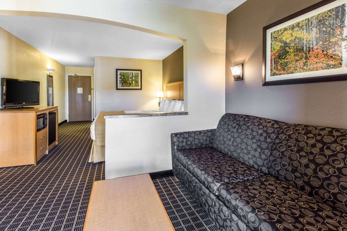 Quarto de hotel com sofá, televisão, pequena copa e um quadro na parede.