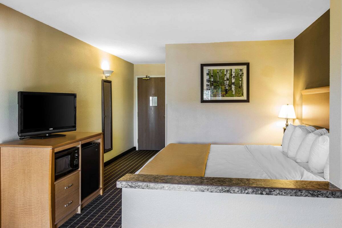 Quarto de hotel com uma cama, televisão sobre um armário de madeira, micro-ondas, uma porta e um quadro na parede.