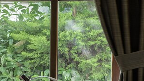 Uma garrafa de vinho sobre uma bandeja em frente a uma janela com vista para vegetação exuberante.