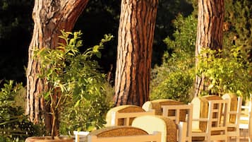2 bares/lounges, um bar junto à piscina