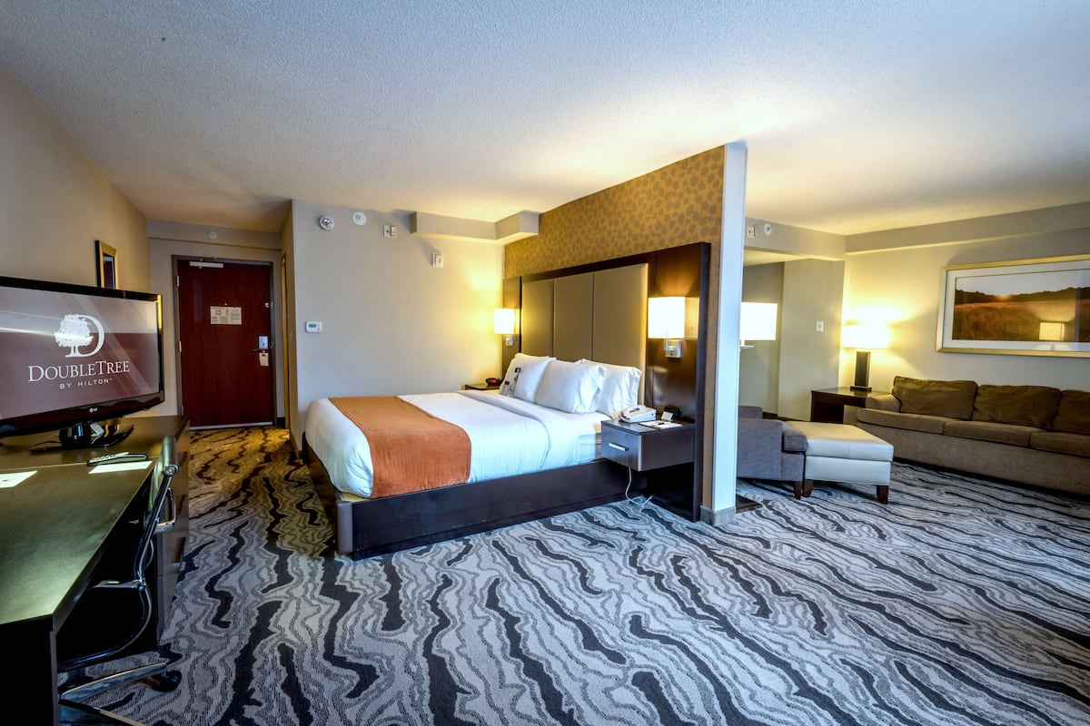 Quarto de hotel com uma cama, uma escrivaninha, televisão, sofá e carpete estampado.