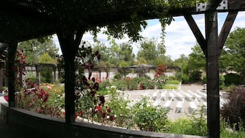 Pátio interior