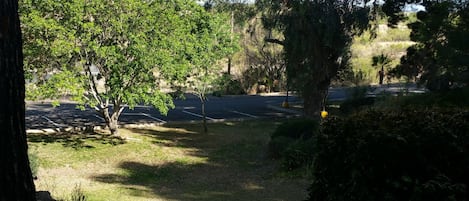 Um estacionamento com árvores e uma área gramada em primeiro plano.