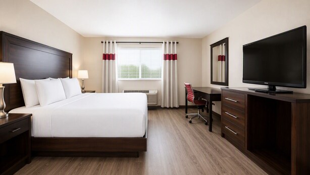 Quarto de hotel com cama, escrivaninha, cadeira, televisão e cómoda.