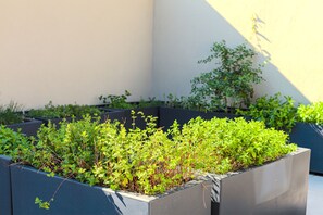 Uma série de vasos retangulares com plantas verdes vibrantes, dispostos em linha reta contra uma parede clara.