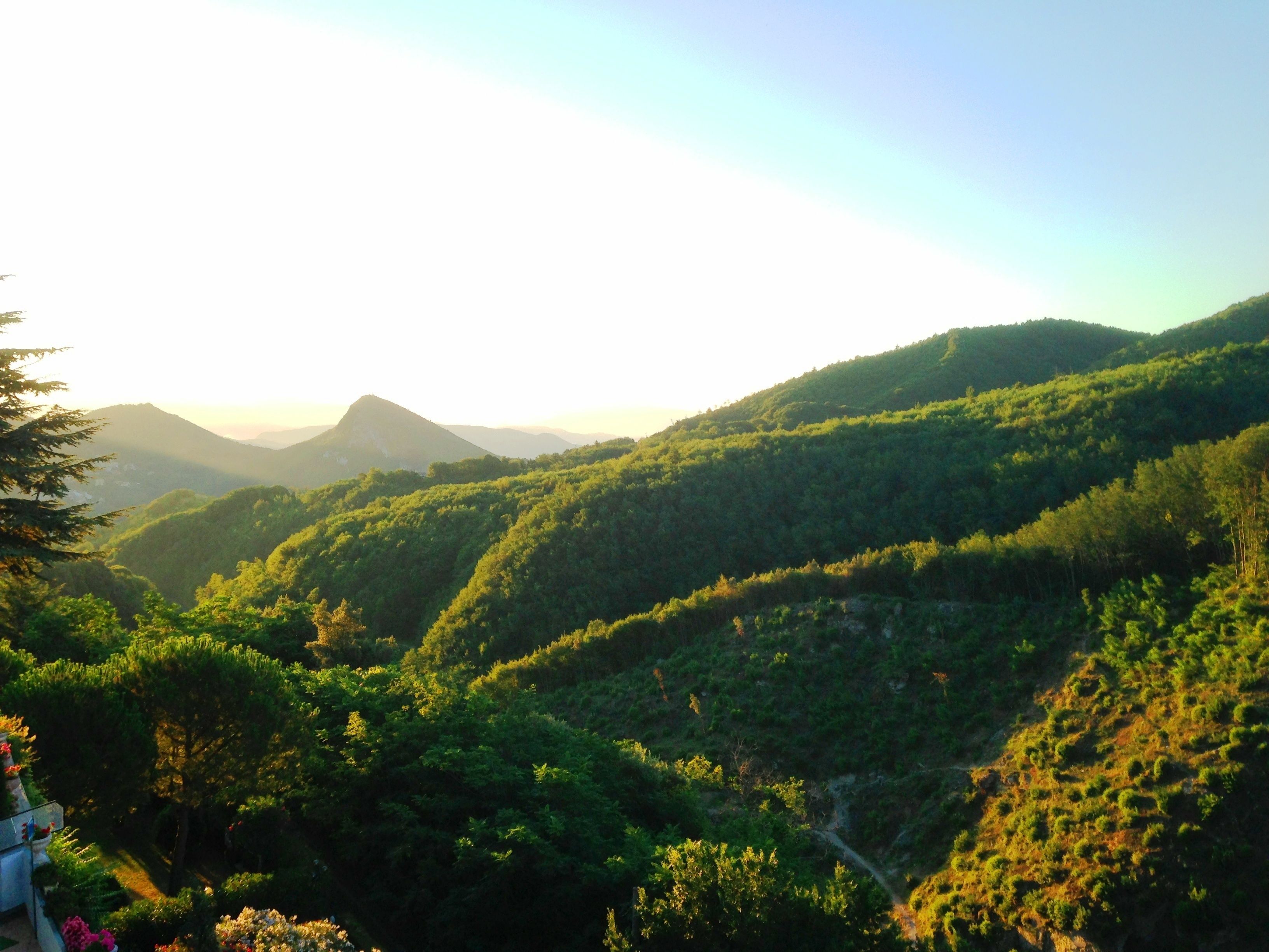 Paisagem montanhosa com vegetação densa e céu claro.