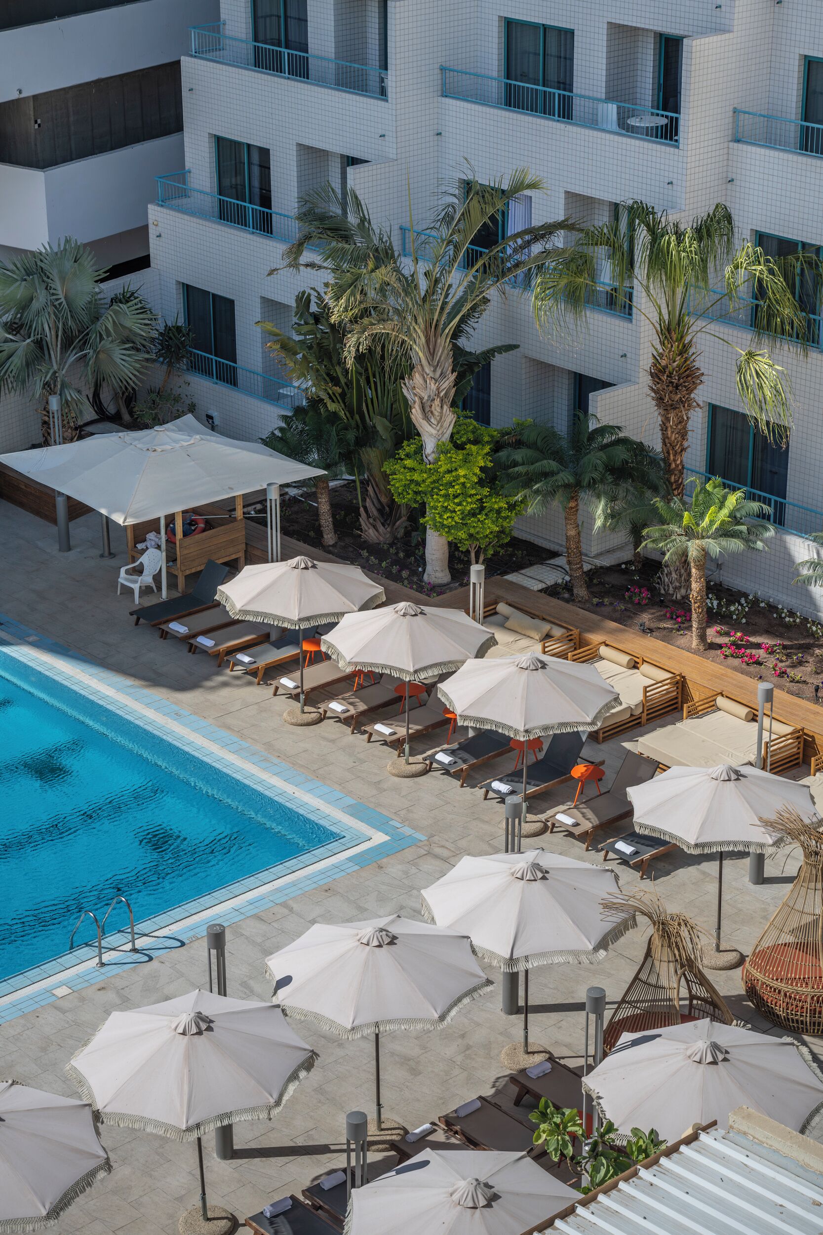 Uma piscina no terraço com espreguiçadeiras e guarda-sóis, rodeada por palmeiras e um edifício moderno com varandas.