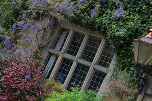 Um edifício com janela, rodeado por vegetação exuberante e flores roxas.