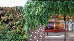 Paredes cobertas por folhagem verde densa e uma área com desenhos de folhas brancas.