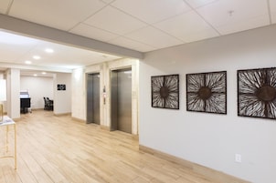 Um saguão de hotel com piso de madeira, um elevador e três painéis decorativos fixados na parede.