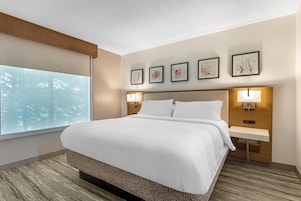 Quarto de hotel com uma cama grande, janela com vista para árvores e quatro obras de arte emolduradas na parede.