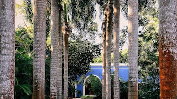 Jardim
