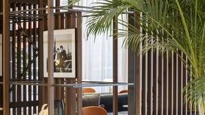 Um interior moderno com divisória de madeira, uma planta grande em vaso e uma área de estar com sofá e cadeiras.