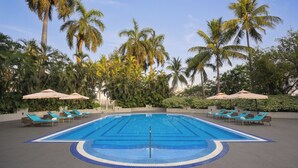 Piscina com espreguiçadeiras e guarda-sóis, cercada por palmeiras.