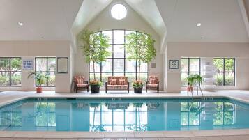 Piscina interna com teto alto, grandes janelas e áreas de estar com plantas em vasos.