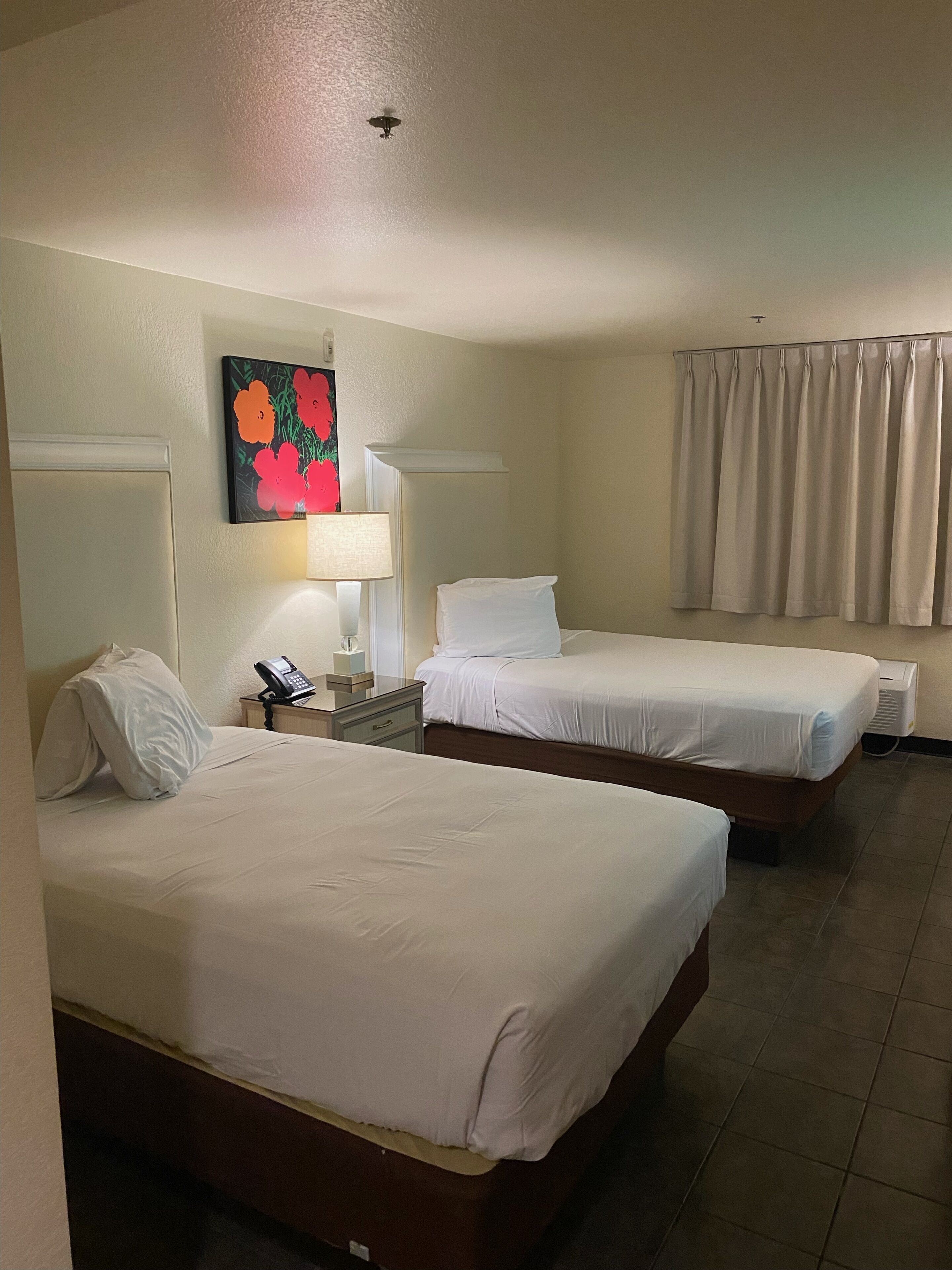 Hotel Jefe at Ojos Locos Reviews, Deals & Photos 2024 - Expedia