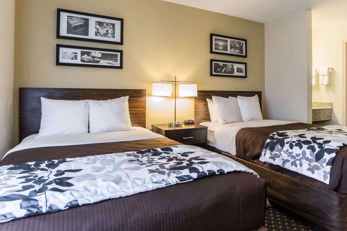 Quarto de hotel com duas camas, uma mesa de cabeceira com abajur e quadros nas paredes.