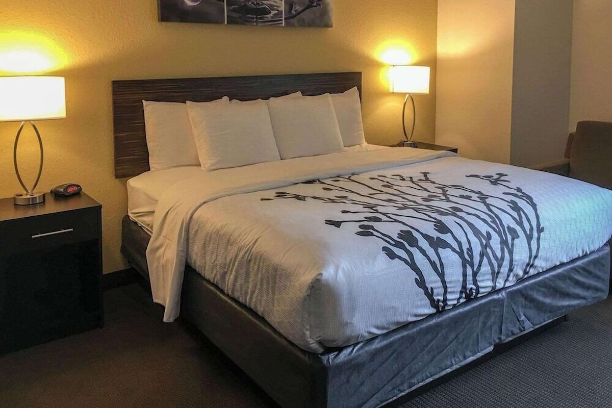 Quarto de hotel com cama grande, duas mesas de cabeceira e uma luminária, além de uma obra de arte pendurada na parede.