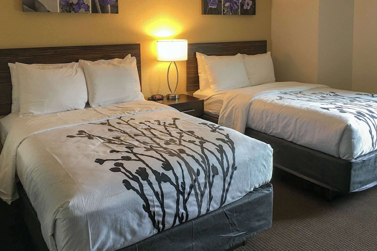 Quarto de hotel com duas camas, cada uma com roupa de cama branca e um desenho de galho. Há uma mesa de cabeceira com abajur entre as camas.