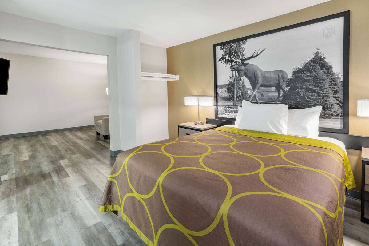 Quarto de hotel com uma cama grande, mesa de cabeceira, abajur e um quadro com uma imagem de alce na parede.