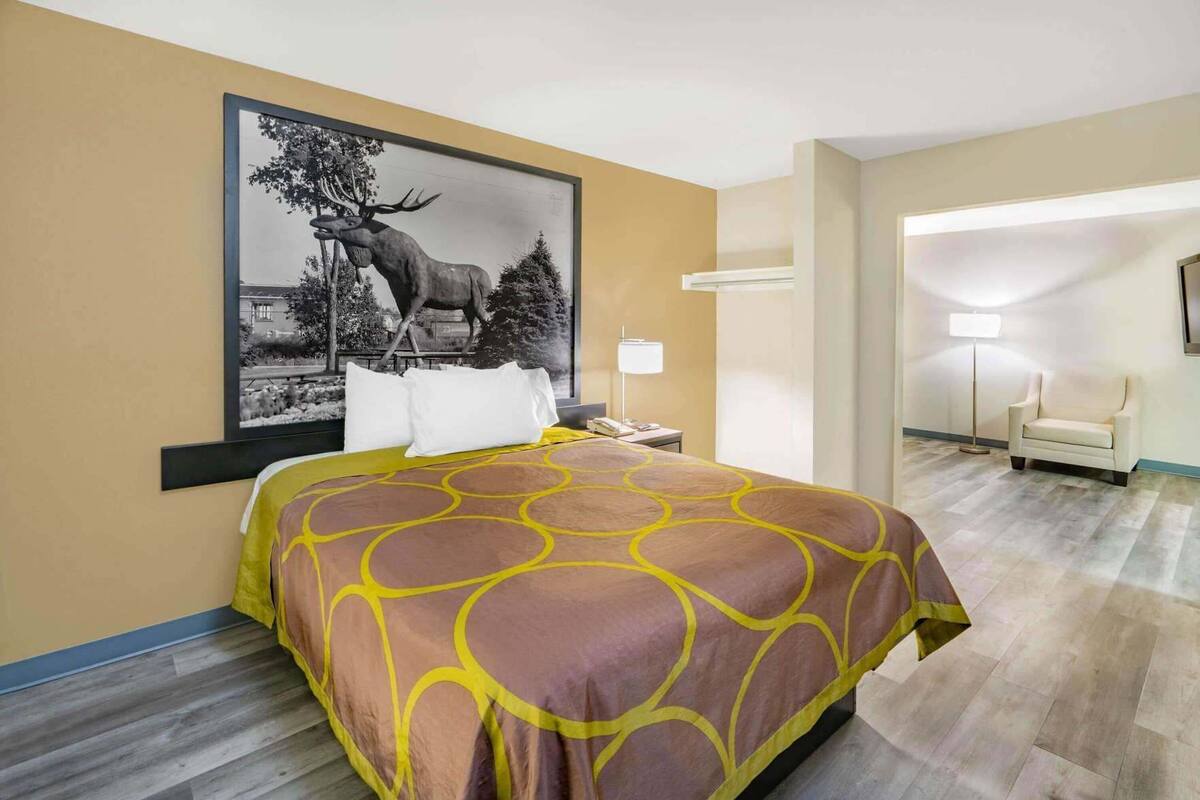 Quarto de hotel com uma cama grande, uma mesa de cabeceira, uma cadeira e um quadro com uma imagem de um alce.