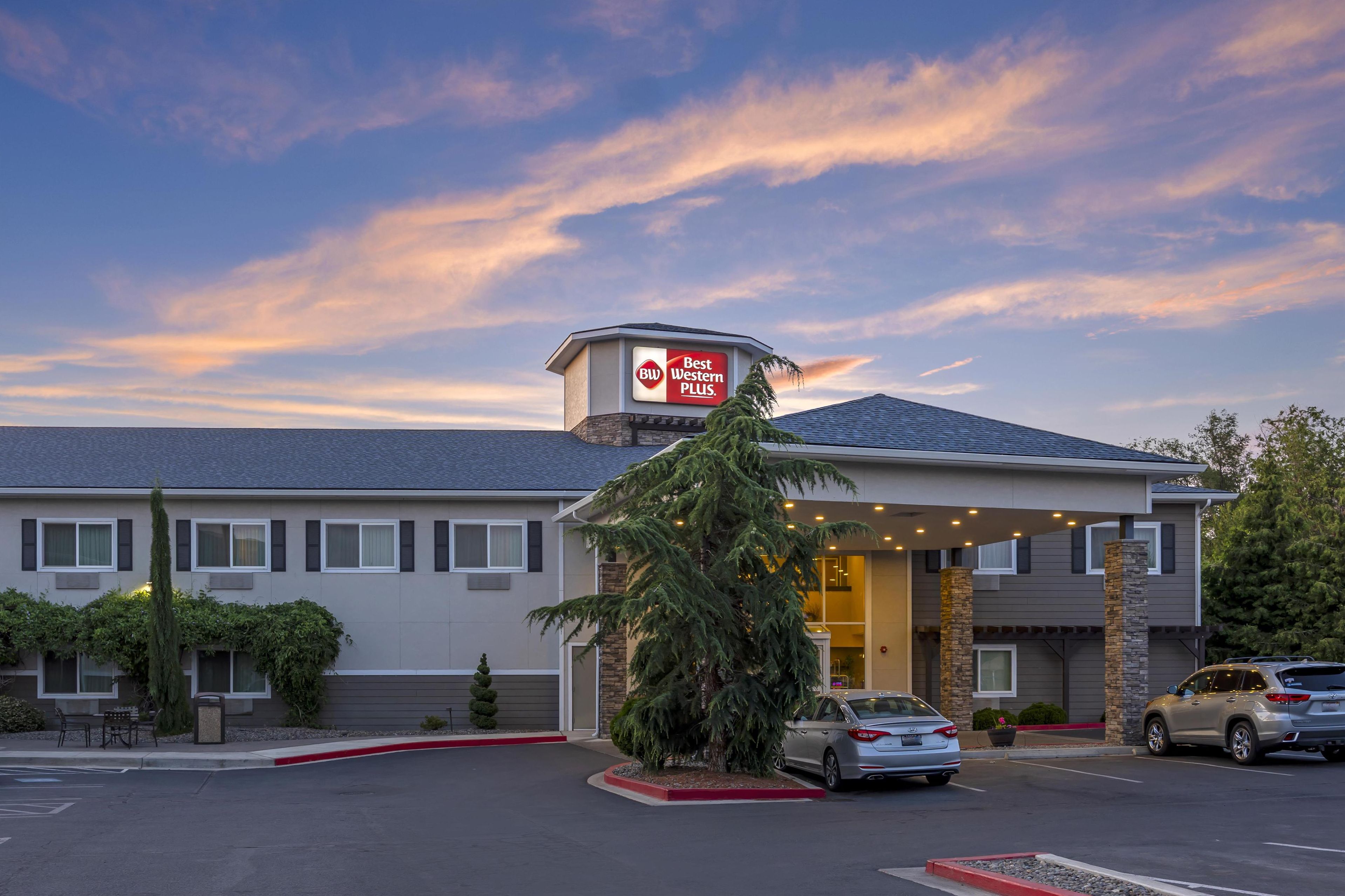 Um hotel Best Western Plus com estacionamento, uma grande árvore e céu claro.
