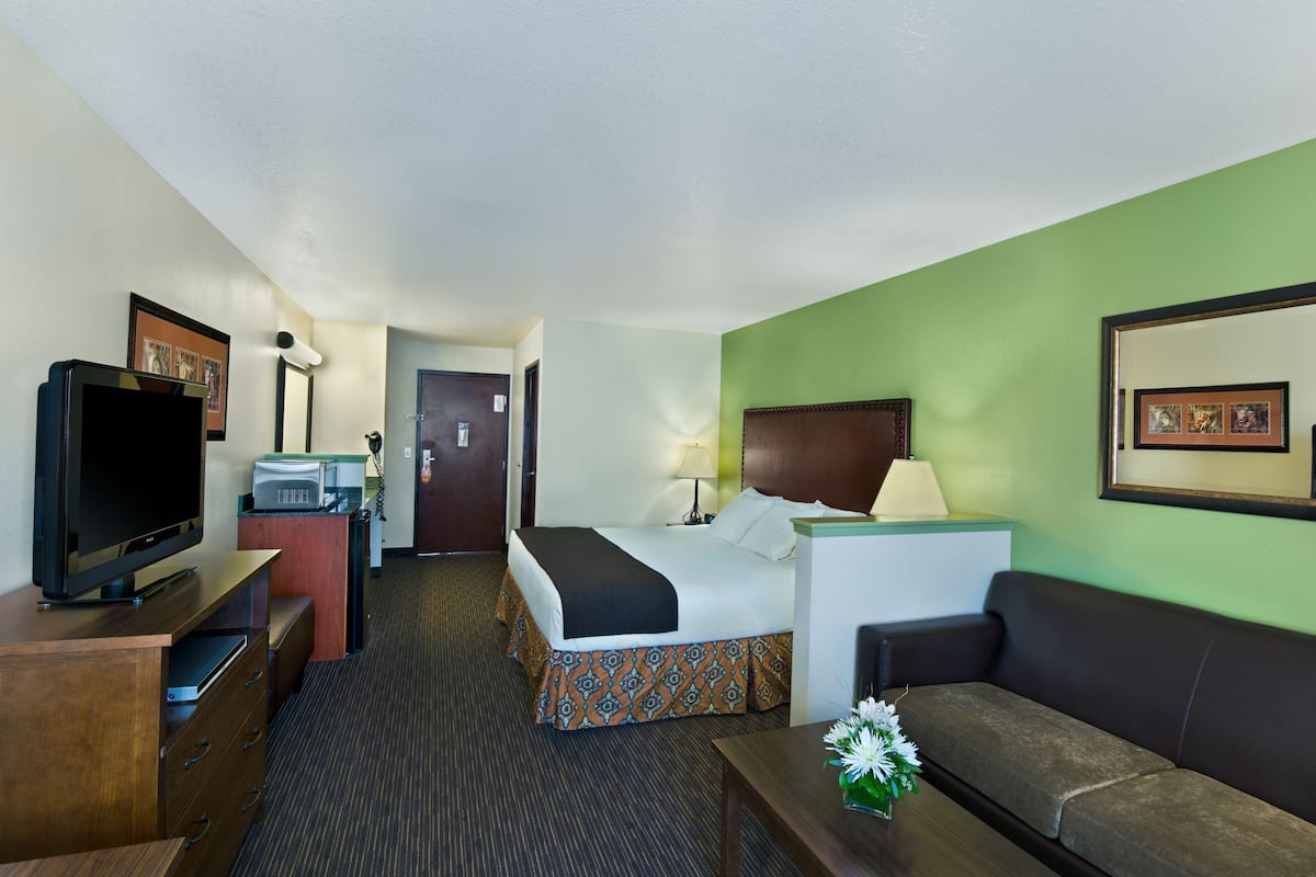 Quarto de hotel com cama, televisão, escrivaninha com luminária, sofá e pequena mesa com uma flor.