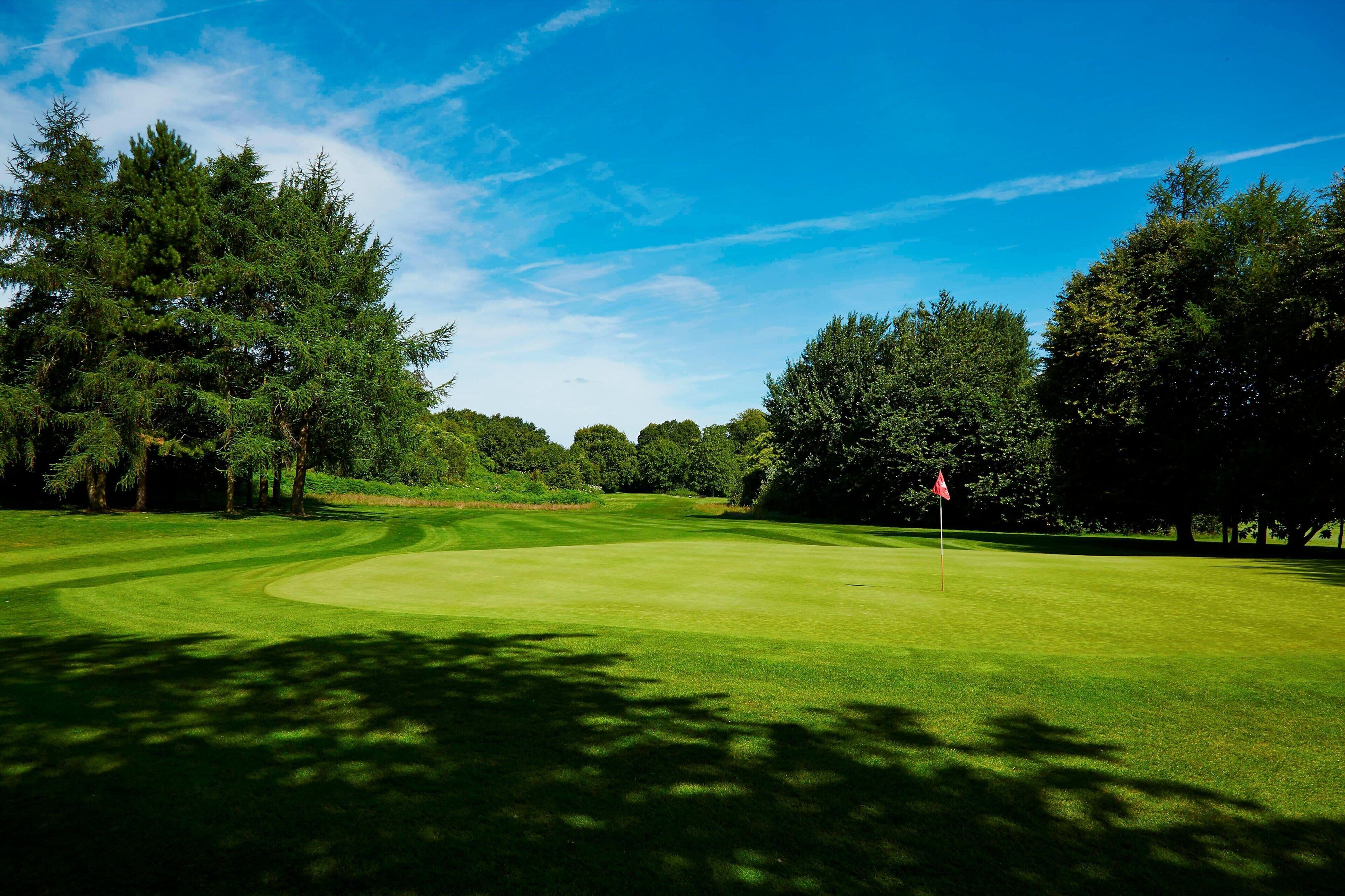 Um campo de golfe com um green bem cuidado, árvores e um céu azul límpido.