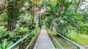 Uma trilha serpenteia por um jardim exuberante, repleto de plantas e árvores tropicais.
