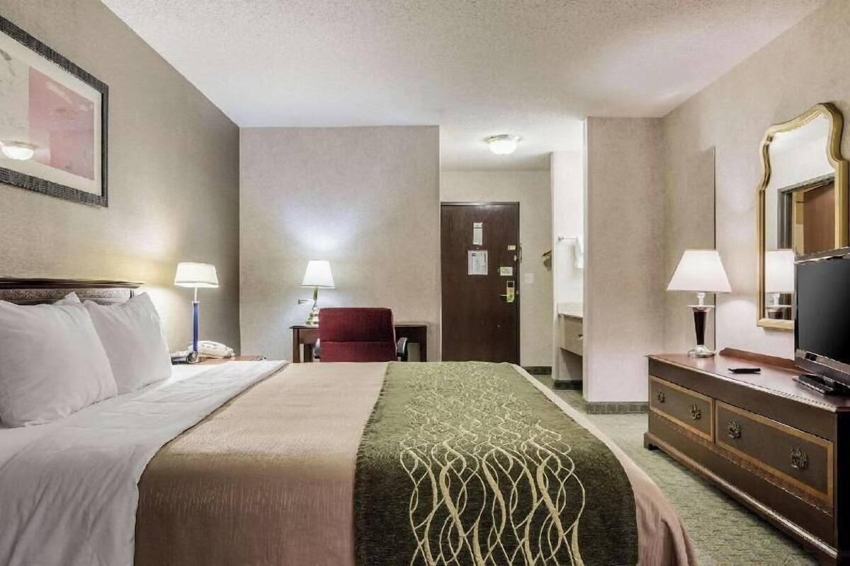 Quarto de hotel com cama, duas luminárias de cabeceira, uma cadeira vermelha, cômoda e televisão.