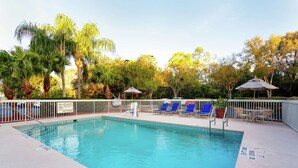 Piscina com profundidade de 1,5 metros, cercada por palmeiras e cadeiras de sol.