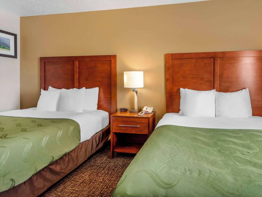 Quarto de hotel com duas camas de solteiro, mesa de cabeceira com abajur e quadro na parede.