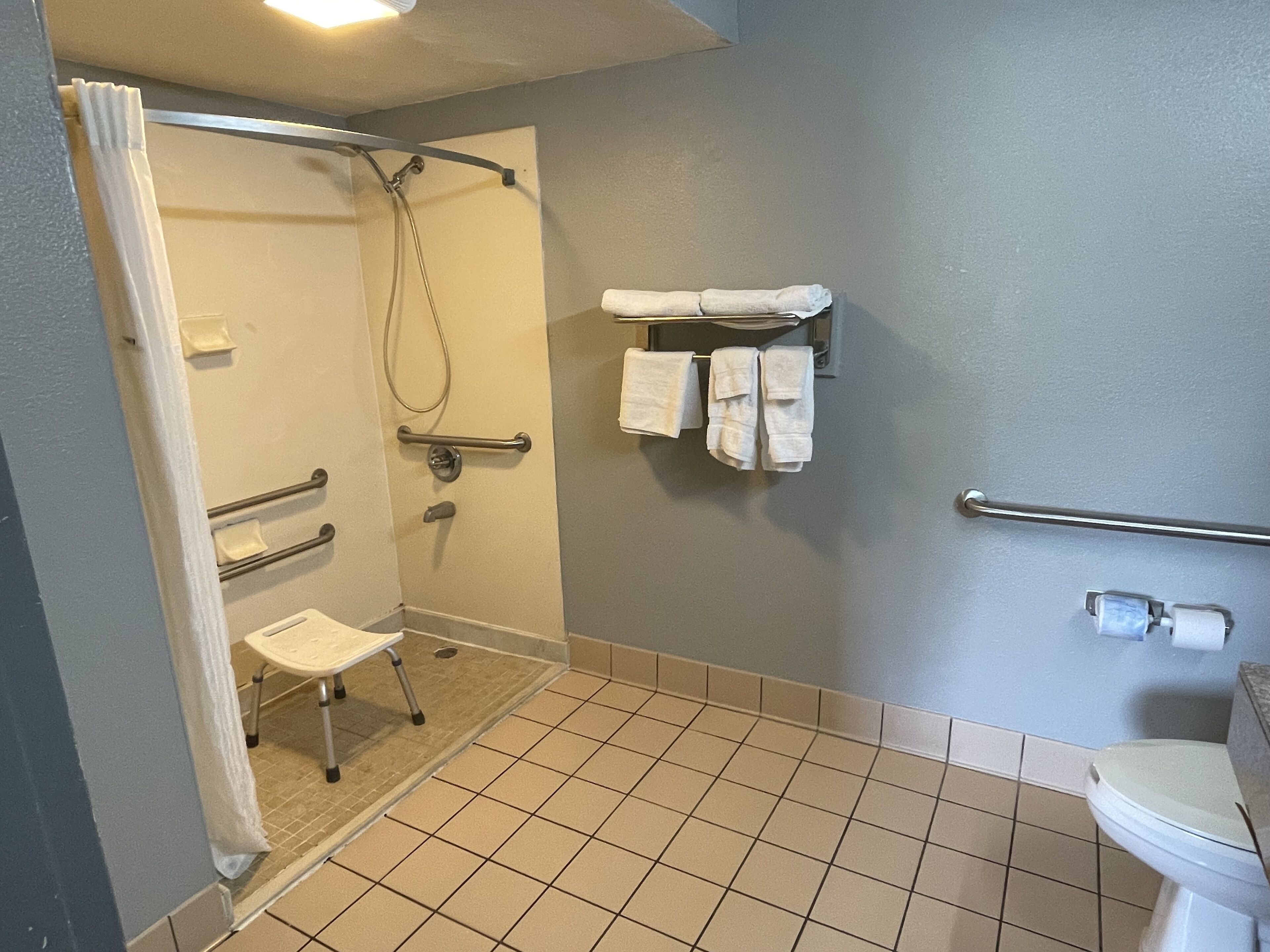 Quarto Standard, 1 cama king-size, acessível, não fumadores | Casa de banho | Uma combinação polibã/banheira, um secador de cabelo 