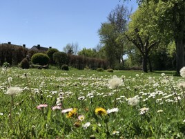 Área da propriedade