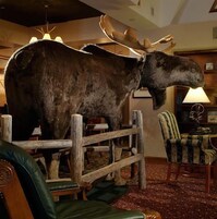 Detalhe da parte interna