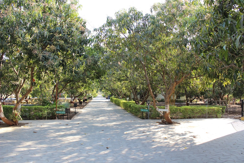 Gir Jungle Lodge - Gujarat