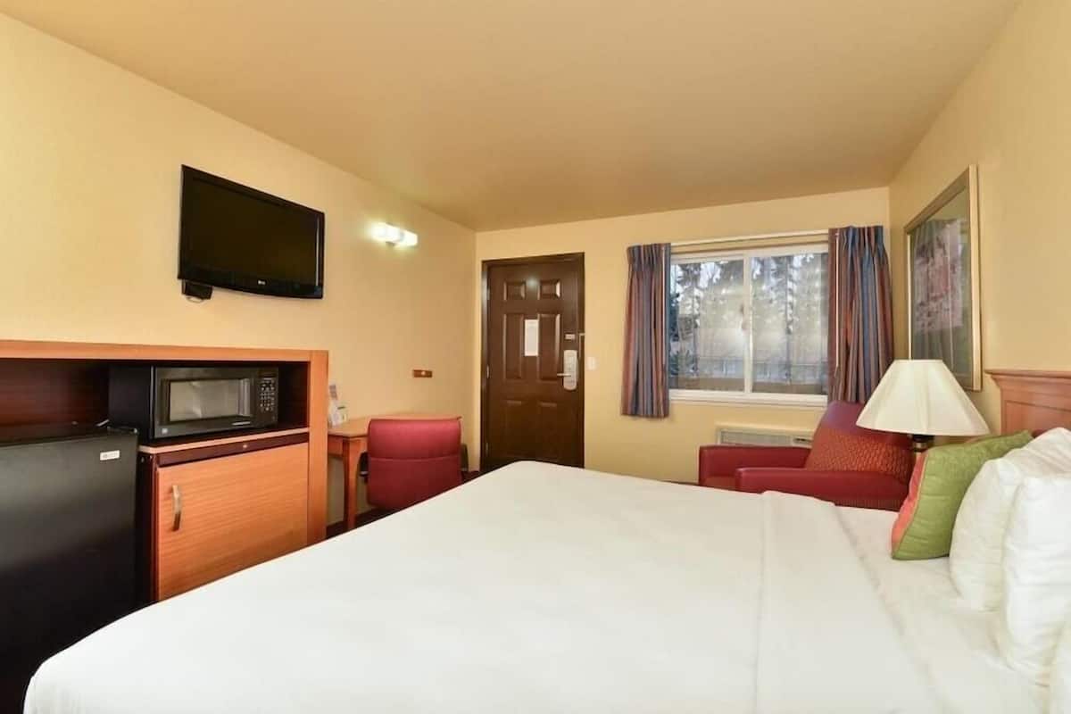 Quarto de hotel com cama, televisão, micro-ondas, frigorífico, secretária e janela com cortinas.