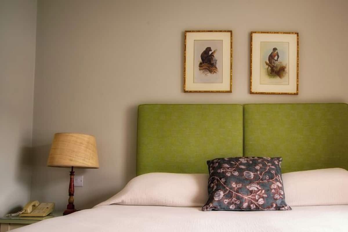 Uma cama com cabeceira verde, duas quadros emoldurados na parede e duas luminárias de apoio.