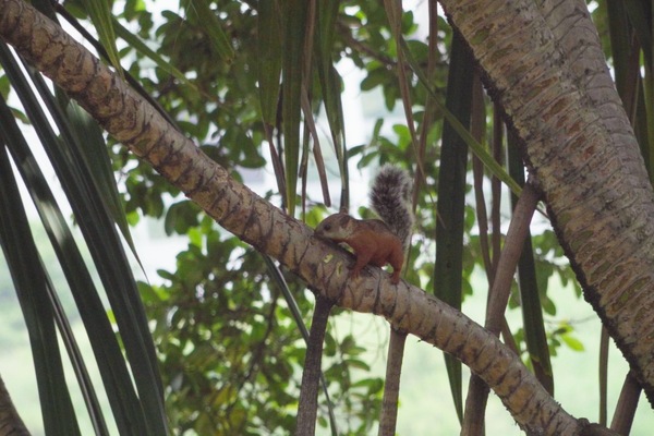 Terrenos do alojamento