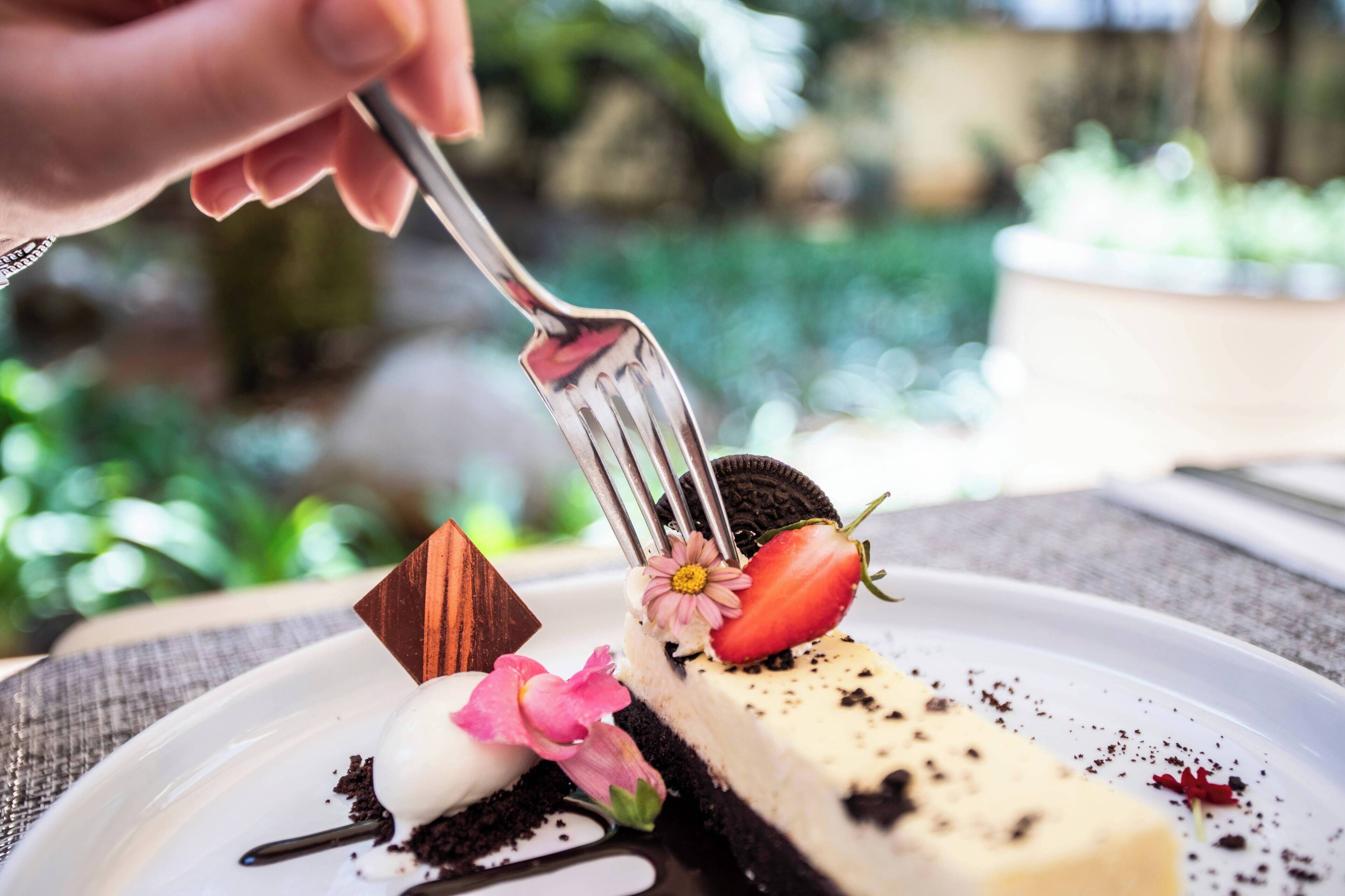 Pequenos-almoços, almoços, jantares servidos, cozinha internacional 